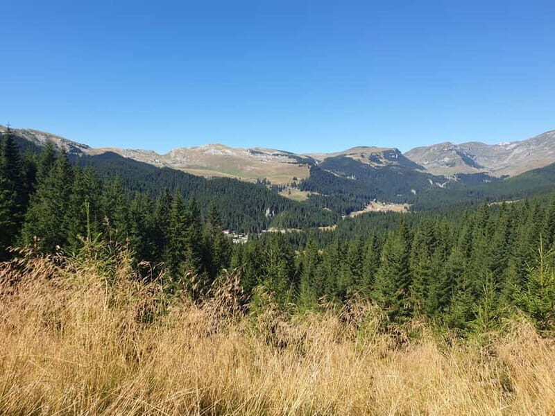 From Brasov : Hiking in Piatra Craiului National Park - Who Is This Tour Best Suited For?