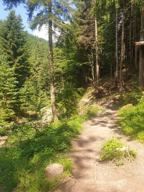 From Brasov : Hiking in Piatra Craiului National Park - Final Thoughts