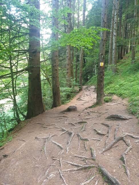 From Brasov : Hiking in Piatra Craiului National Park - FAQ