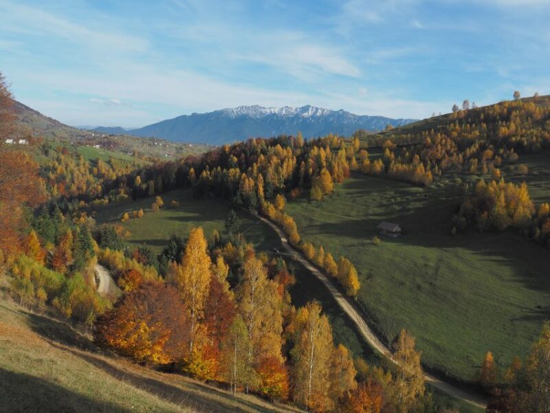 From Brasov: Piatra Craiului National Park 2-Day Guided Trek - Key Points