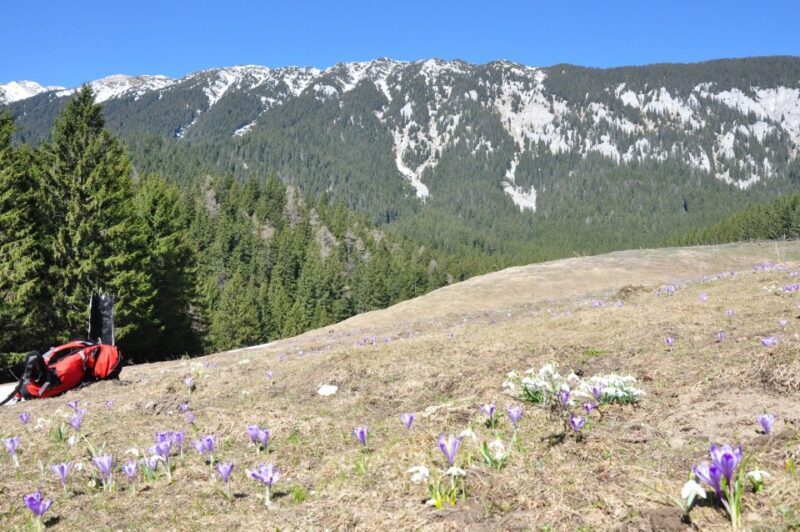 From Brasov: Piatra Craiului National Park 2-Day Guided Trek - Authenticity and Experience