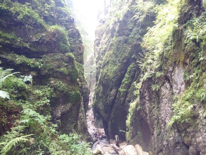 From Brasov: Piatra Craiului National Park 2-Day Guided Trek - Considerations