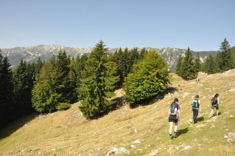 From Brasov: Piatra Craiului National Park Private Day Tour - FAQ