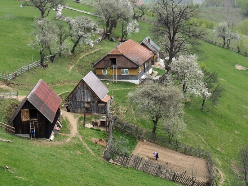 From Brasov: Romanian Mountain Villages Day Tour - Key Points