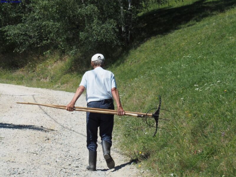 From Brasov: Romanian Mountain Villages Day Tour - A Deep Dive into the Romanian Mountain Villages Day Tour