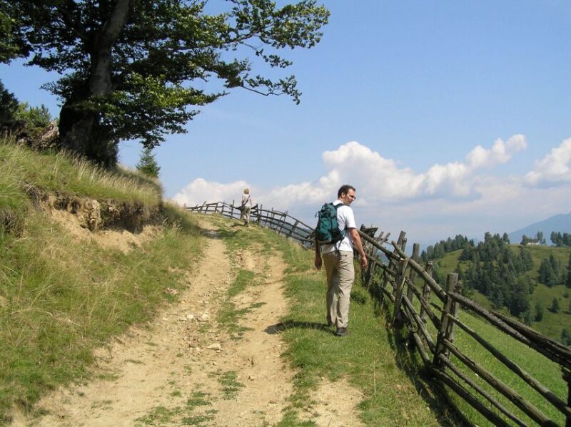 From Brasov: Romanian Mountain Villages Day Tour - Who Is This Tour Best For?