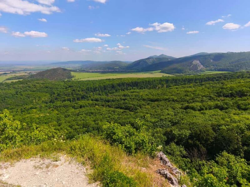 From Bratislava: Wine Tasting & Castles Guided Day Trip - Exploring the Landscape and History