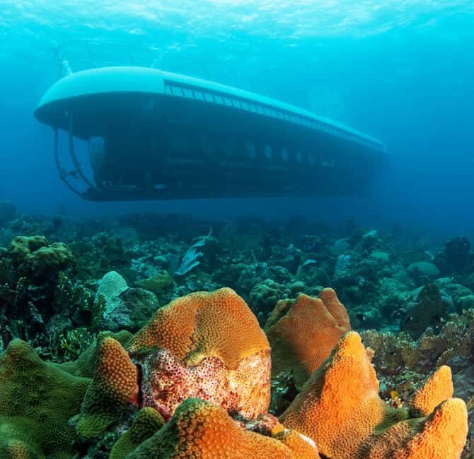 From Bridgetown: Scenic Boat and Submarine Tour - From Bridgetown: Scenic Boat and Submarine Tour — A Deep Dive into Barbados’ Underwater World