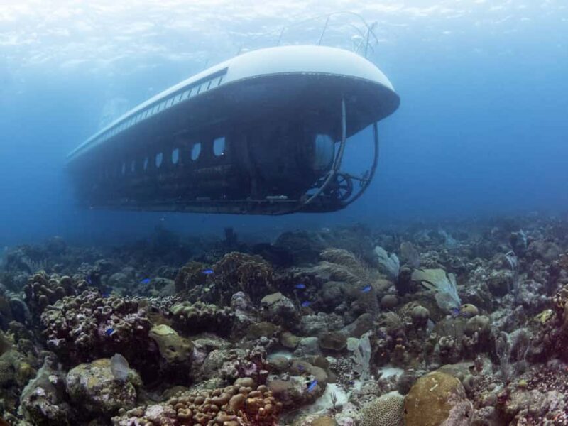 From Bridgetown: Scenic Boat and Submarine Tour - Who Will Love This Tour?