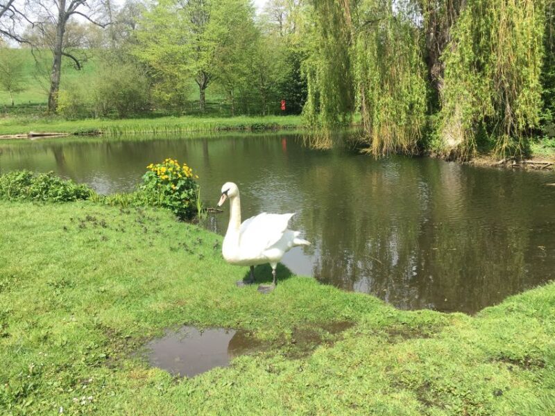 From Brighton: Leeds Castle & Canterbury Full-Day Trip - Final Thoughts: Is this Tour Right for You?