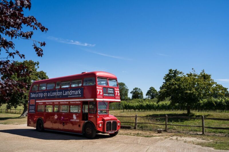 From Brighton: Sussex Wine Tour on a Vintage Bus with Lunch - Who Will Love This Tour?