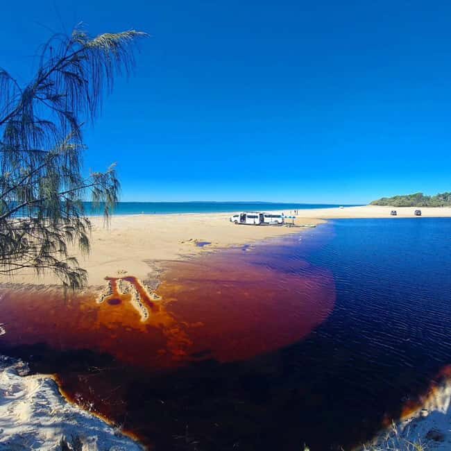 From Brisbane: Bribie Island Day Trip - An In-Depth Look at the Tour
