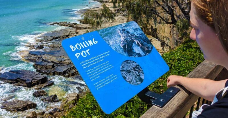 From Brisbane: Day Trip to Noosa, Glass House Mtns and Zoo - Exploring the Day’s Itinerary in Detail