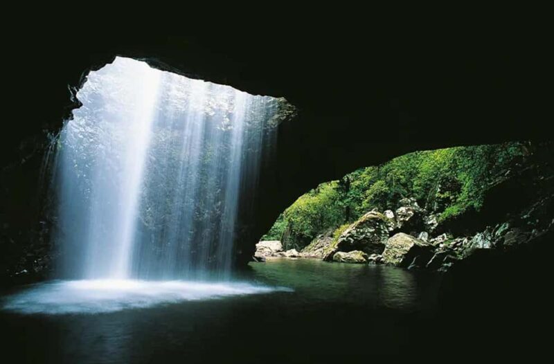 From Brisbane: Gold Coast Day Tour with Lunch - The Spit and Marine Life (Seasonal)