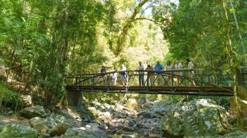 From Brisbane: Gold Coast Day Tour with Lunch - Final Summary