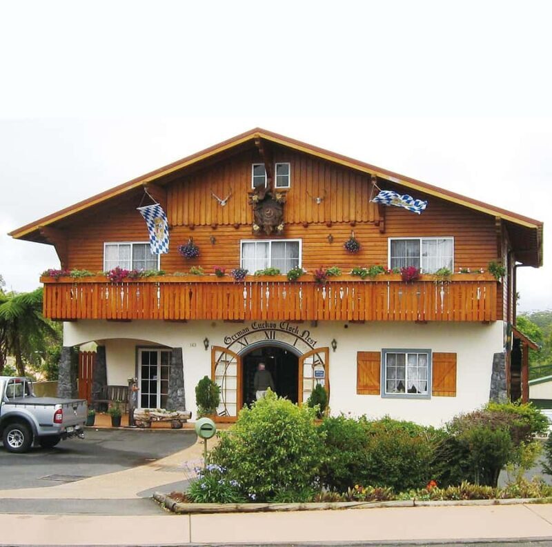 From Brisbane: Lamington National Park Rainforest Tour - Who Will Love This Tour?