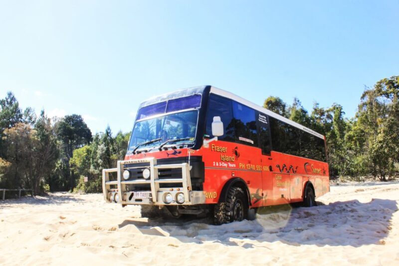 From Brisbane: Moreton Island Full-Day Trip - Key Points