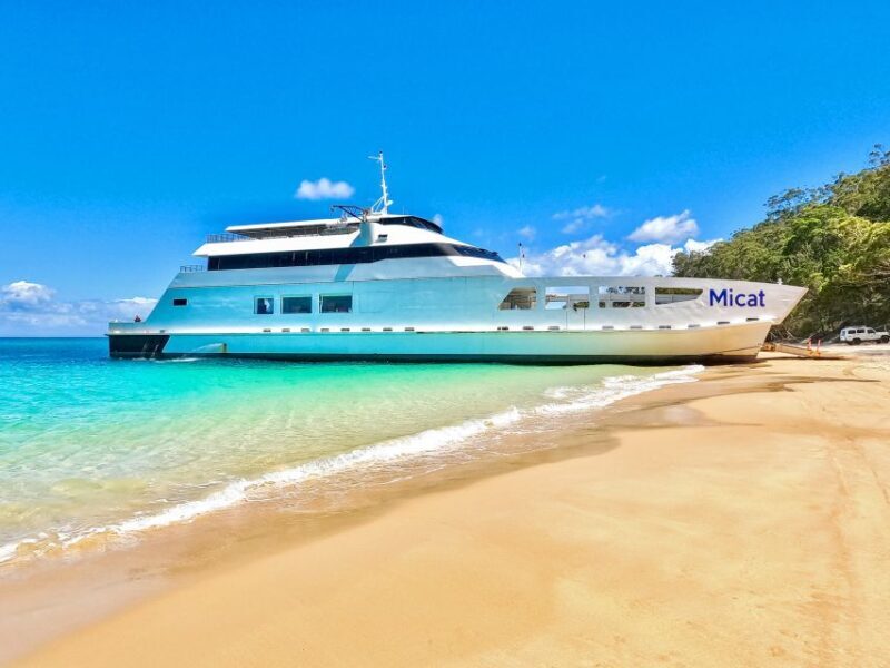 From Brisbane: Moreton Island Full-Day Trip - An In-Depth Look at the Experience