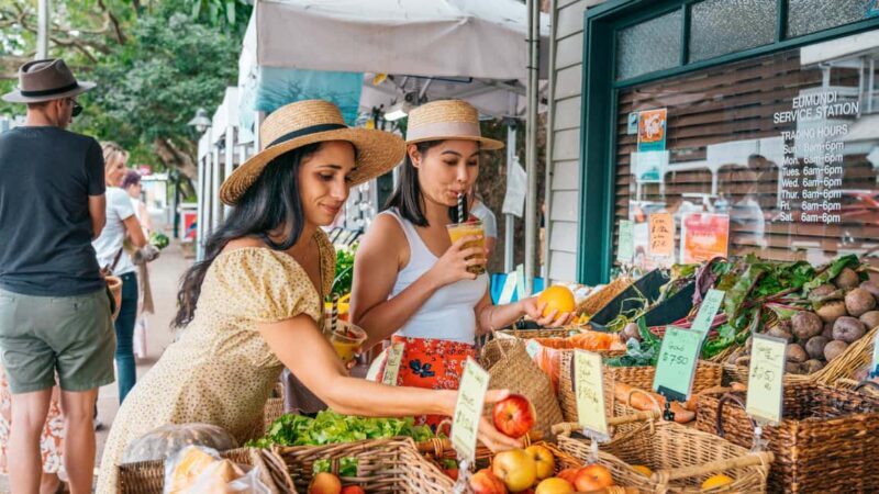 From Brisbane: Noosa, Eumundi and Montville Full Day Tour - Key Points