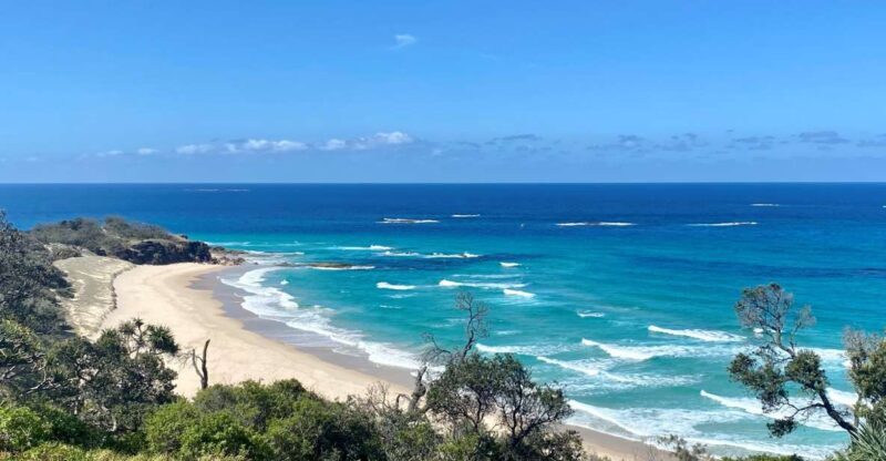 From Brisbane: North Stradbroke Island Wildlife Adventure - A Deep Dive into the North Stradbroke Island Wildlife Adventure