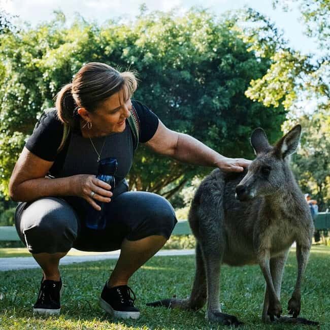 From Brisbane: Queensland Zoo and Sunshine Coast Day Trip - A Close Look at the Itinerary