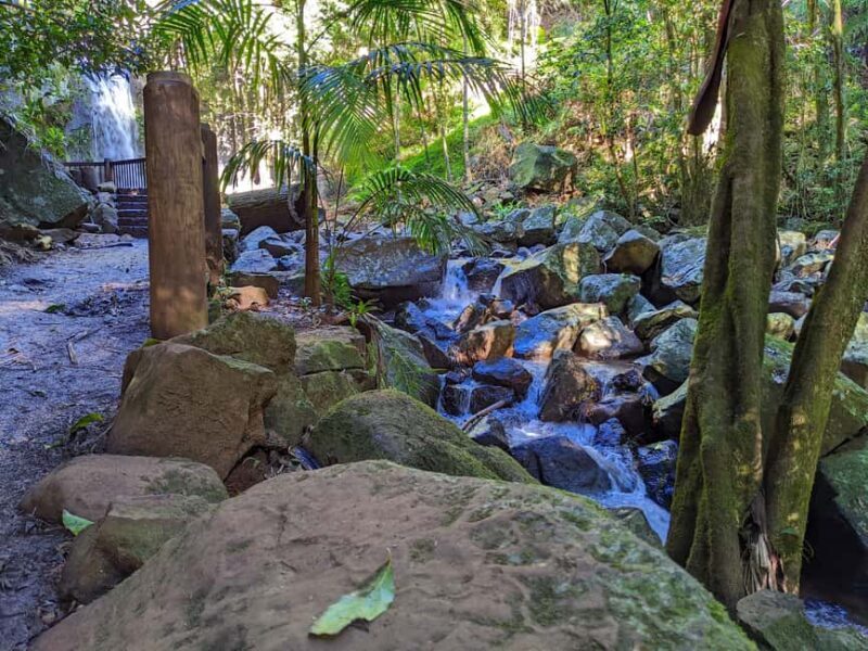 From Brisbane: Tamborine Mountain and Paradise Point Tour - Final Thoughts