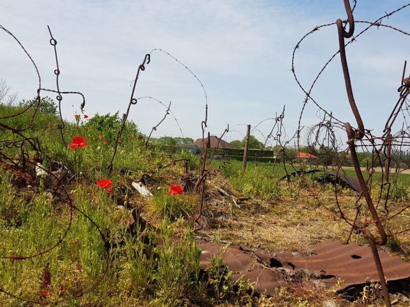 From Bruges: Great War Flanders Fields Minibus Tour w/ Lunch - Final Thoughts: Who Should Consider This Tour?