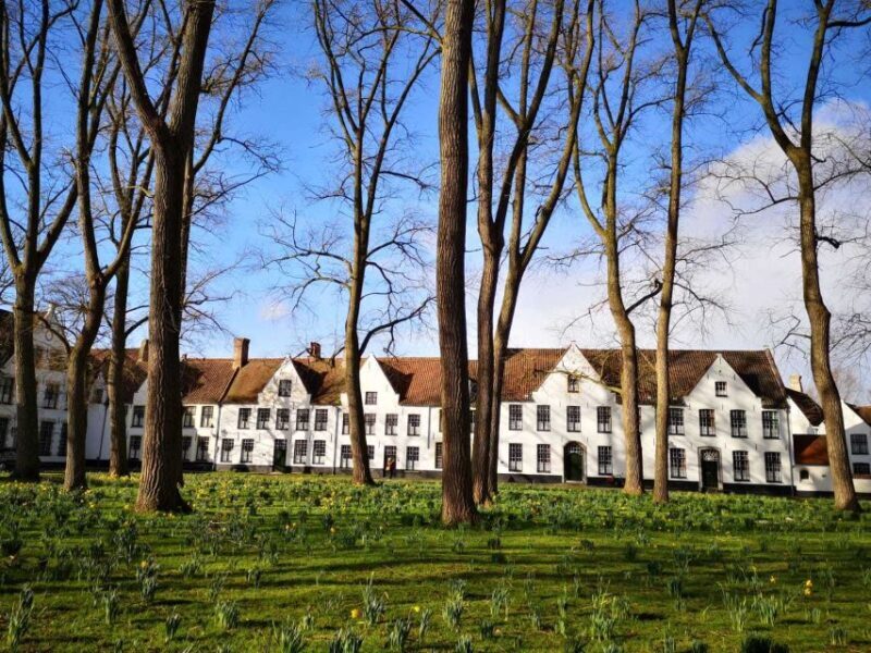 From Brussels: Bruges Day Trip with Boat Tour Option (ES) - Who Should Book This Tour?