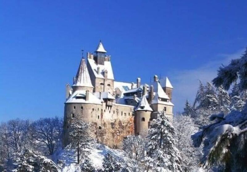 From Bucharest: 2-Day Tour to Brasov and Sighisoara - Authentic Experiences and Practical Details
