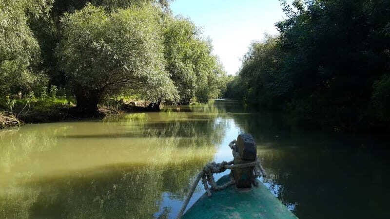 From Bucharest: 3-Day Danube Delta Birdwatching Private Tour - The Birdwatching Boat Trip