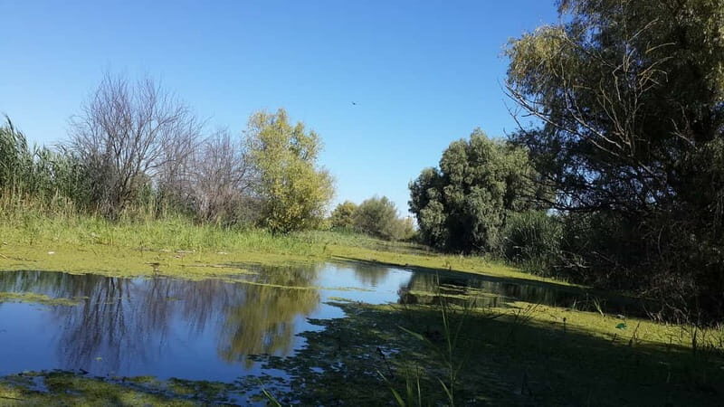 From Bucharest: 3-Day Danube Delta Birdwatching Private Tour - Day Two: Exploring Further and Local Culture