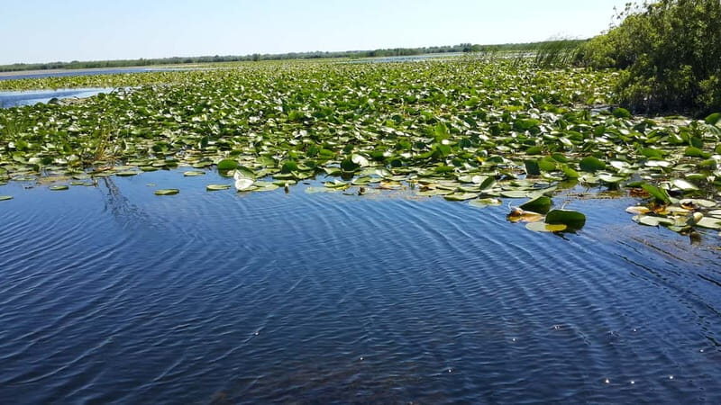 From Bucharest: 3-Day Danube Delta Birdwatching Private Tour - The Cultural Finale in Constanta