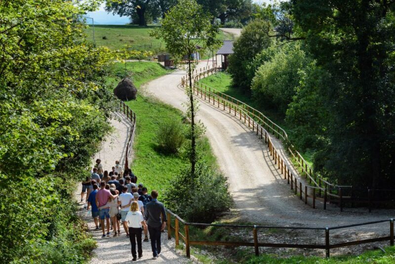 From Bucharest: Bear Sanctuary and Dracula Castle Day Tour - Final Thoughts