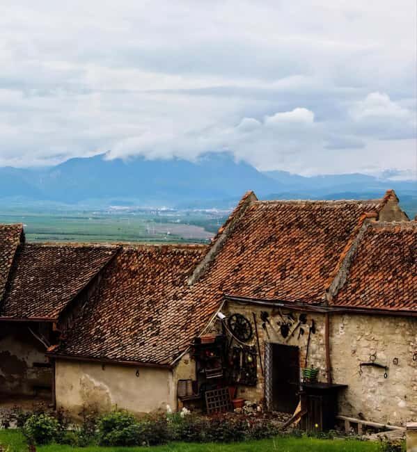From Bucharest: Bears Sanctuary&Rasnov Fortress Private tour - An In-Depth Look at the Tour