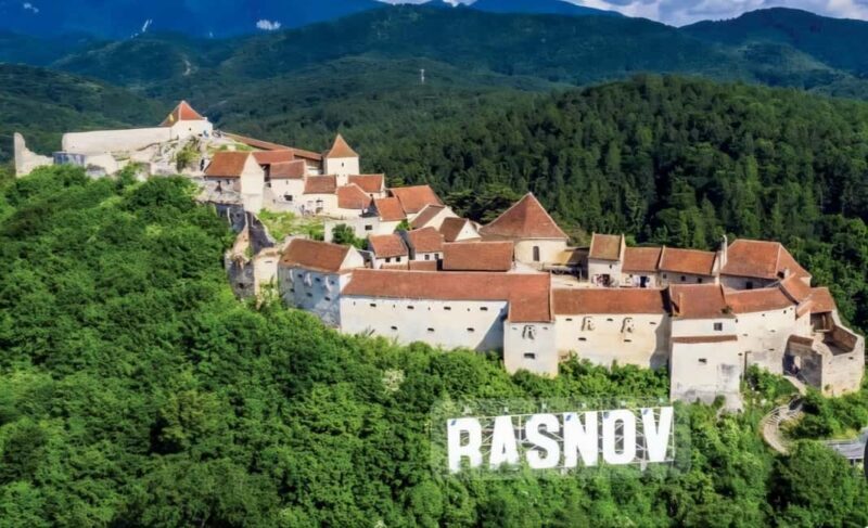 From Bucharest: Bears Sanctuary&Rasnov Fortress Private tour - The Experience Provider: Discover & Enjoy Traveling S.R.L.