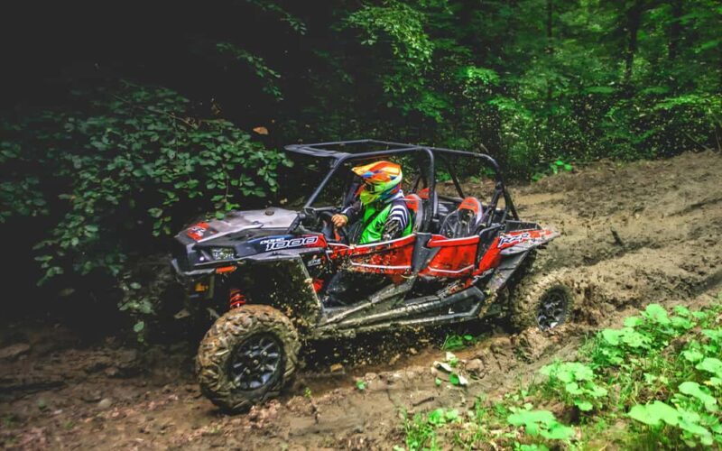 From Bucharest: BUGGY Quad Tour in the Carpathian Mountains - An Adventurous Ride in the Heart of Romania
