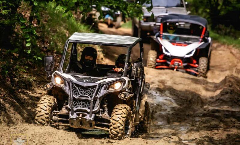 From Bucharest: BUGGY Quad Tour in the Carpathian Mountains - Price & Value