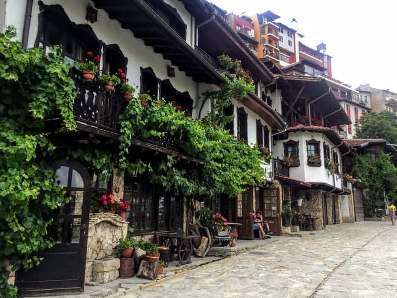 From Bucharest: Bulgaria Private Day Trip with Guide - An In-Depth Look at the Tour Experience