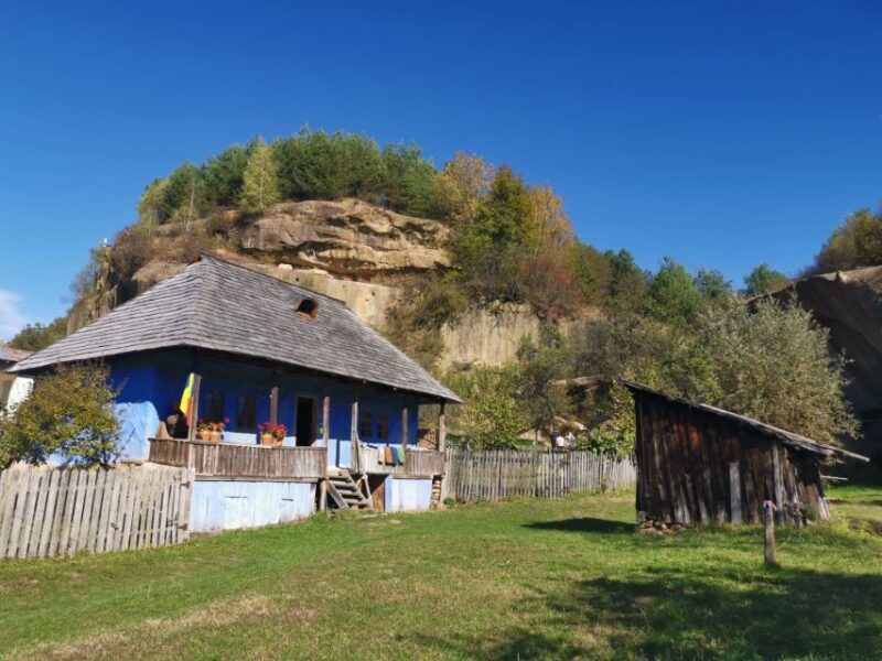 From Bucharest: Carpathian Villages and Sinaia Day Trip - Who Should Consider This Tour?