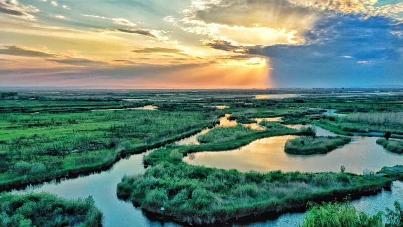 From Bucharest: Danube Delta Private Day Trip with Boat Tour - Price and Value
