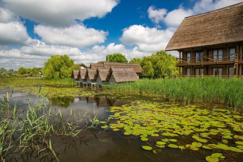 From Bucharest: Day Trip to Danube Delta - Key Points