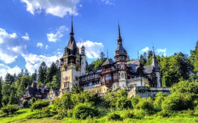 From Bucharest: Day Trip to Dracula and Peles Castle - Summary of the Day and Return to Bucharest