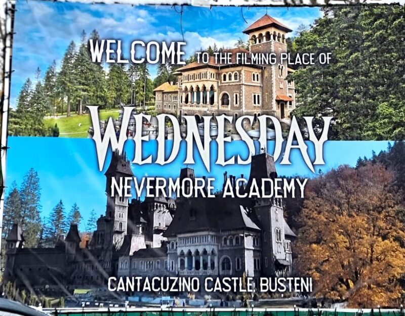 From Bucharest: Dracula, Wednesday, and Peles Castles Tour - The Return: Long but Rewarding