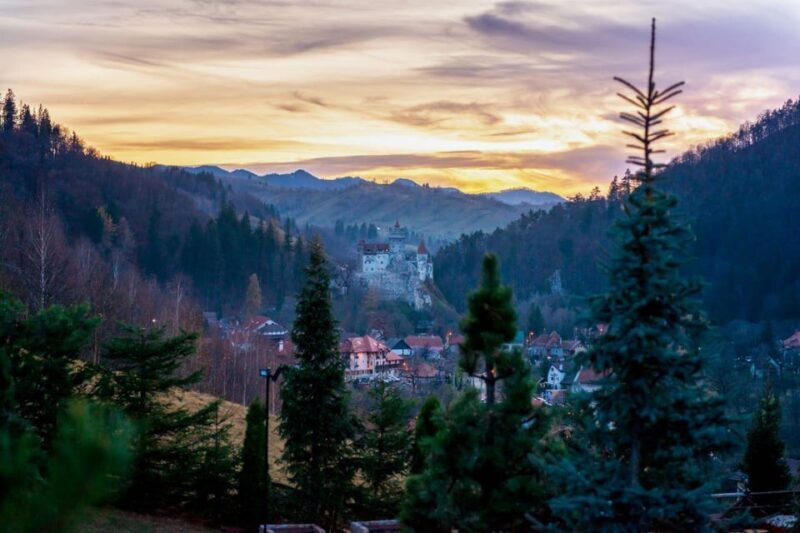 From Bucharest: Dracula's Castle & Bear Sanctuary Adventure - A Detailed Look at the Tour Experience