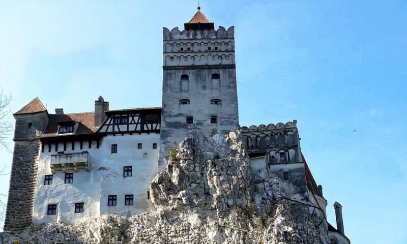 From Bucharest: Dracula's Castle & Bear Sanctuary Adventure - FAQs