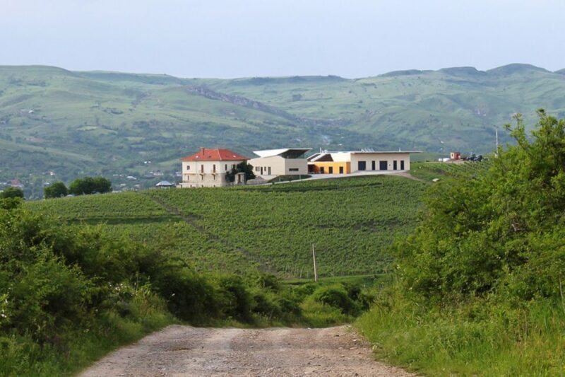 From Bucharest: Exclusive Dealu Mare Wine Tasting Tour - Key Points