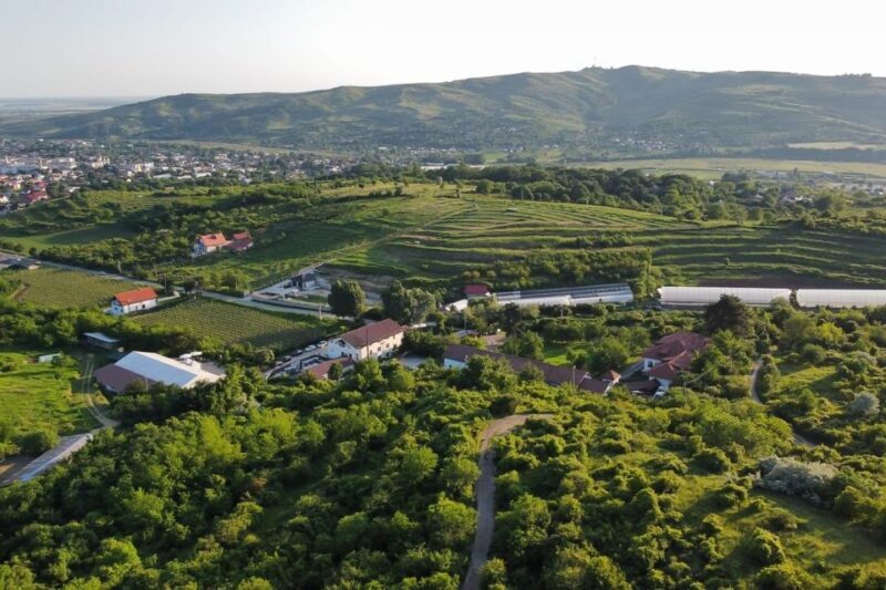 From Bucharest: Exclusive Dealu Mare Wine Tasting Tour - Setting the Scene: Why Dealu Mare?