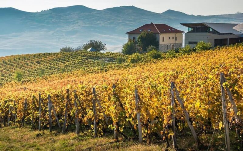 From Bucharest: Exclusive Dealu Mare Wine Tasting Tour - Authenticity and Value
