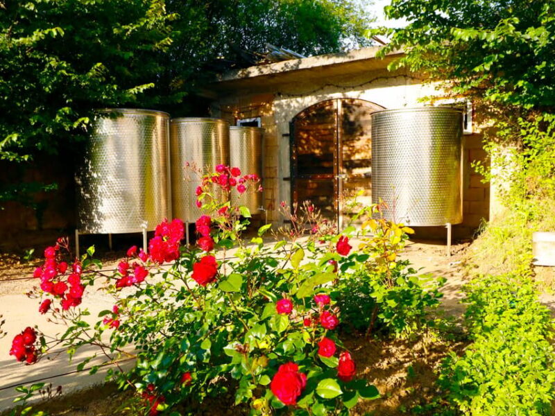 From Bucharest: Exclusive Dealu Mare Wine Tasting Tour - Who Would Enjoy This Tour?