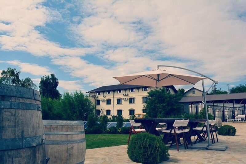From Bucharest: Exclusive Dealu Mare Wine Tasting Tour - Final Words